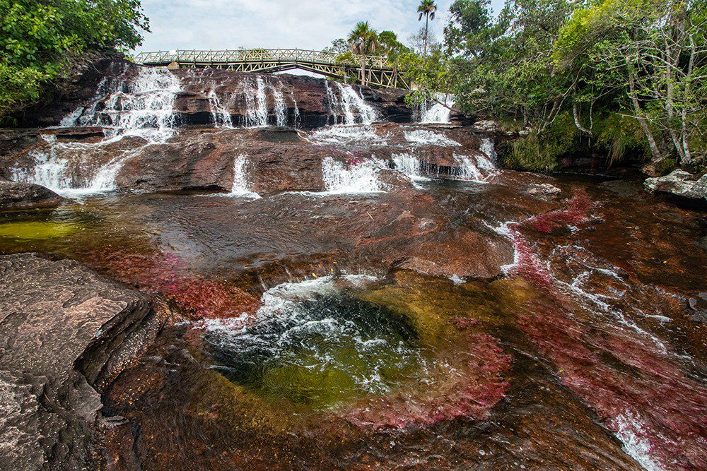 How to visit Caño Cristales - Everything you need to know