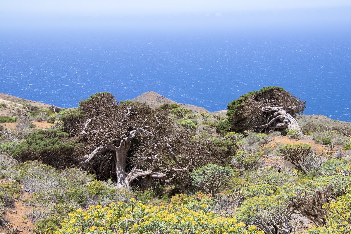 El Hierro: The Best Things to Do on the Canary Islands’ Best-Kept Secret